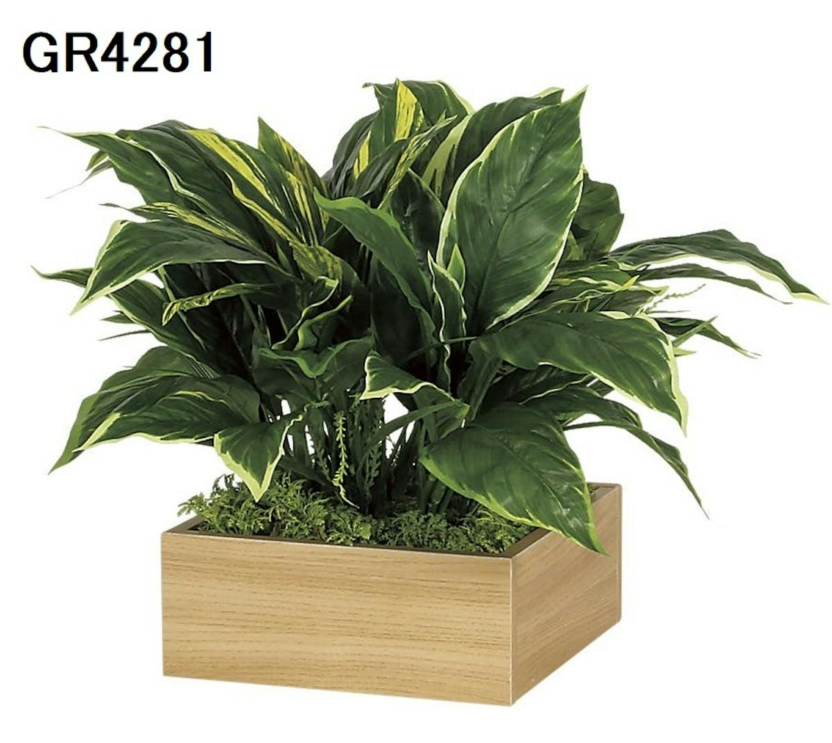 卓上ポット お手軽セット GR4281×1、GR4279×1