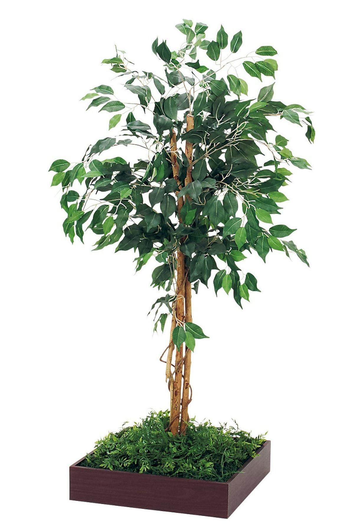 組み合わせプランター GR5082 フィカスベンジャミン H1300｜人工観葉植物 樹木プランター セピア