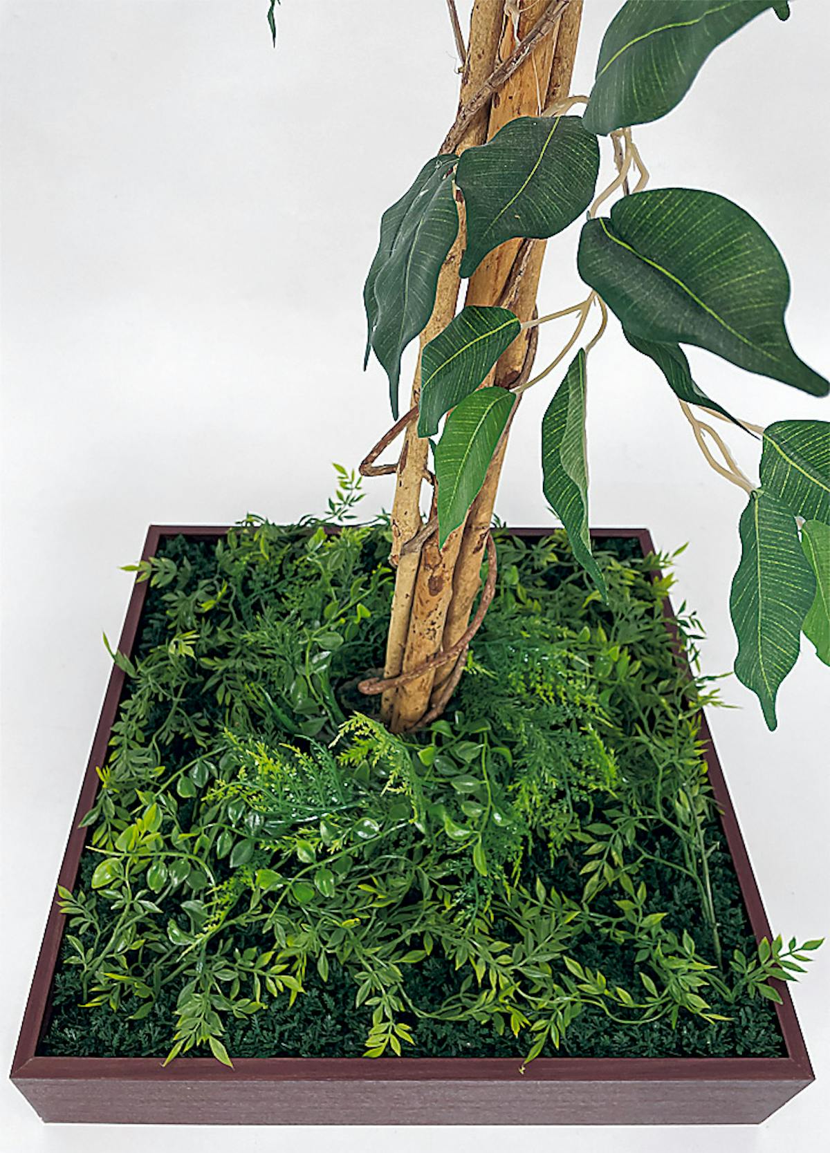 組み合わせプランター GR5082 フィカスベンジャミン H1300｜人工観葉植物 樹木プランター セピア