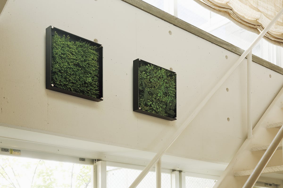 ウォールグリーン GR3305 ｜フェイクグリーン 壁掛け 薄型BOXフレーム